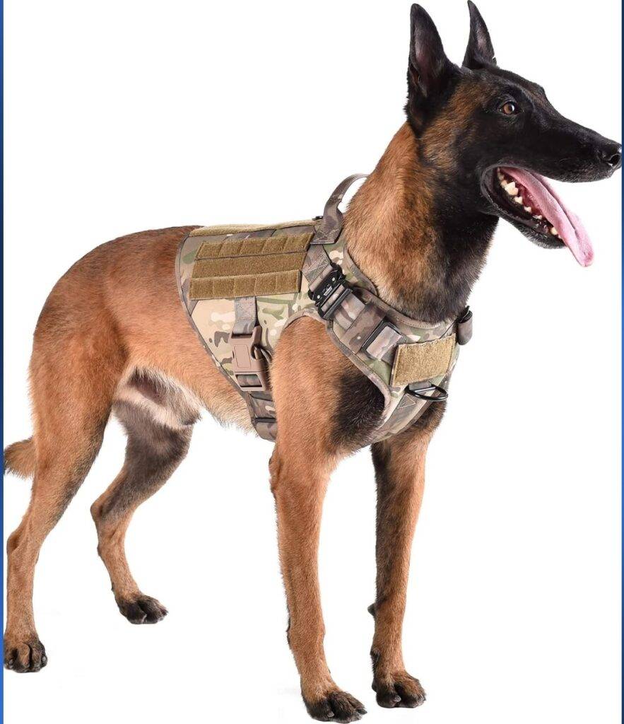 EM™ Tactical Harness – Epic Malinois